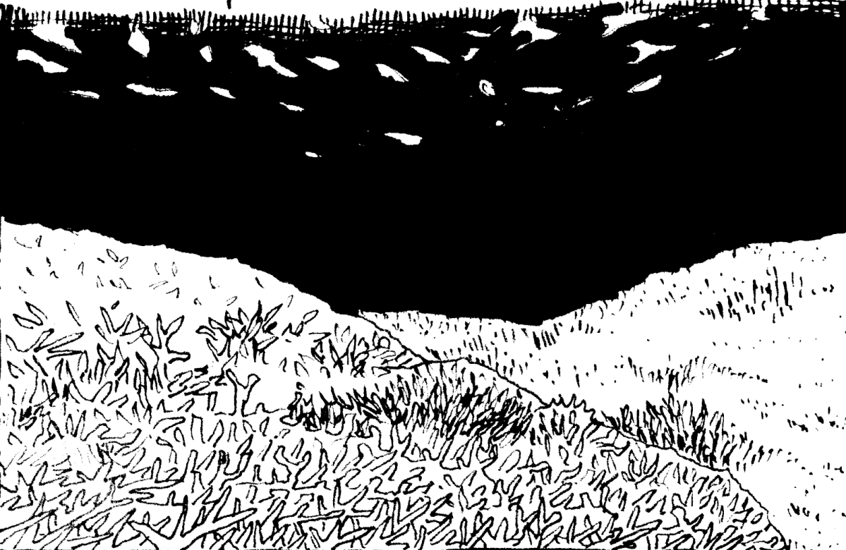 Crumbling Foundations – Daniel M. Watkins, PhD